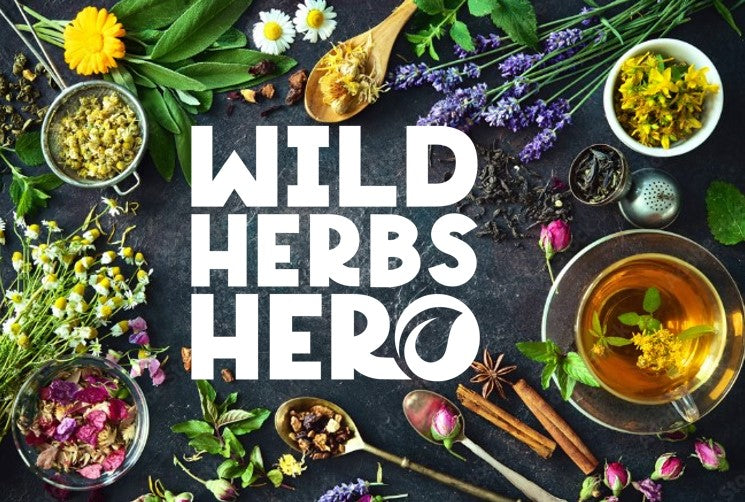 WILD HERBS HERO – Wild Herbs Hero